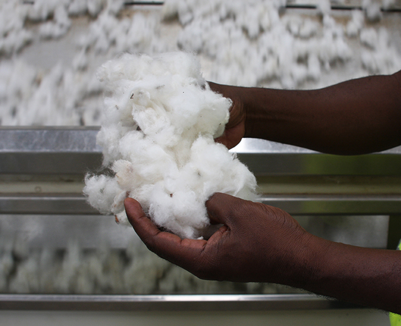 Ginning macht die Baumwolle zum Wertstoff • Cotton d´Ivoire